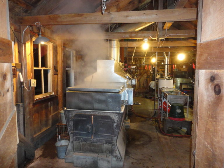 Maple Sugar Time - Andy's Farm and Garden