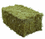 YOUR HAY TEST RESULTS - Andy's Farm and Garden