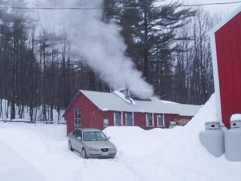 Maple Sugar Time - Andy's Farm and Garden